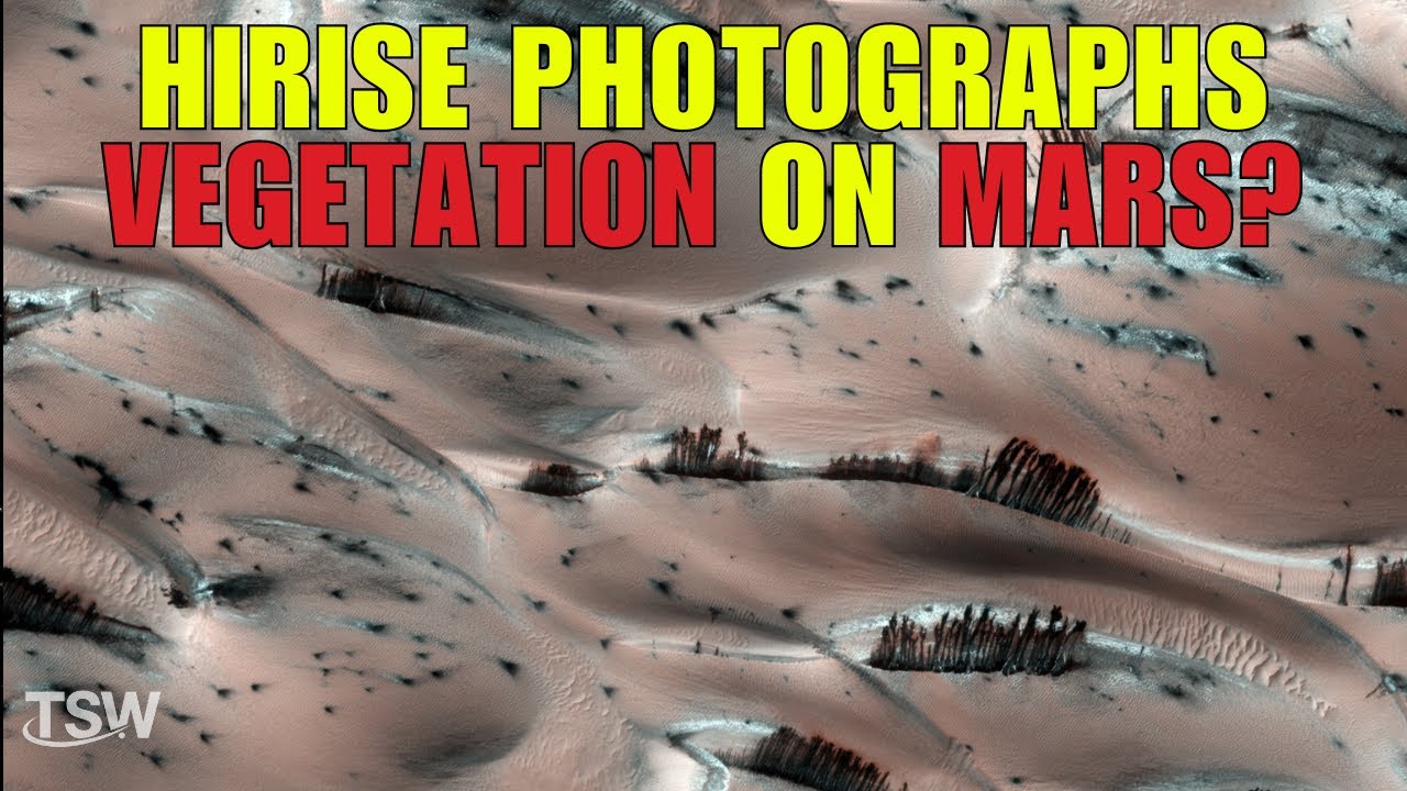 NASA Releases Photos of 'Vegetation' on Mars? - YouTube