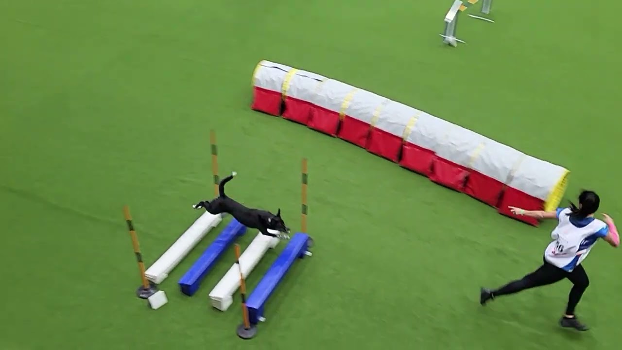 SAY Tereza Kralova CZE Jumping Large Individual FCI AWC 2022 - YouTube