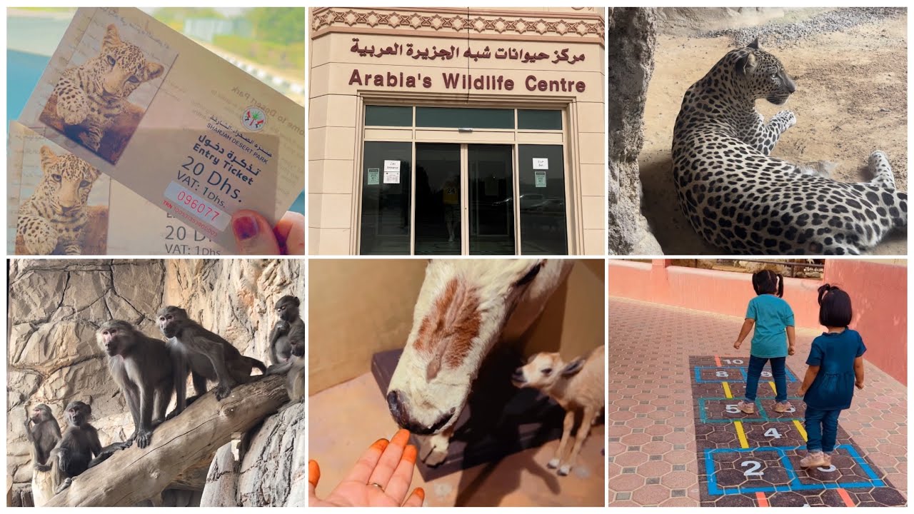 Zoo vlog | Arabian wildlife center #1stvlog #arabianwildcenter #zoo # ...