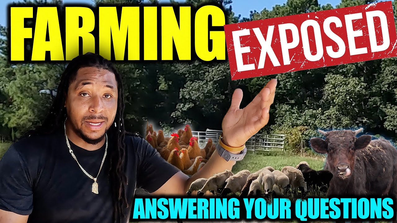 Top Questions About Farming Answered Simply! - YouTube