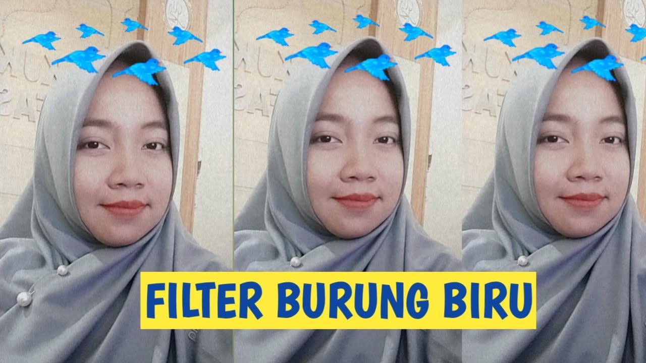 cara Mendapatkan Filter Burung Biru di Instagram - Filter Instagram ...