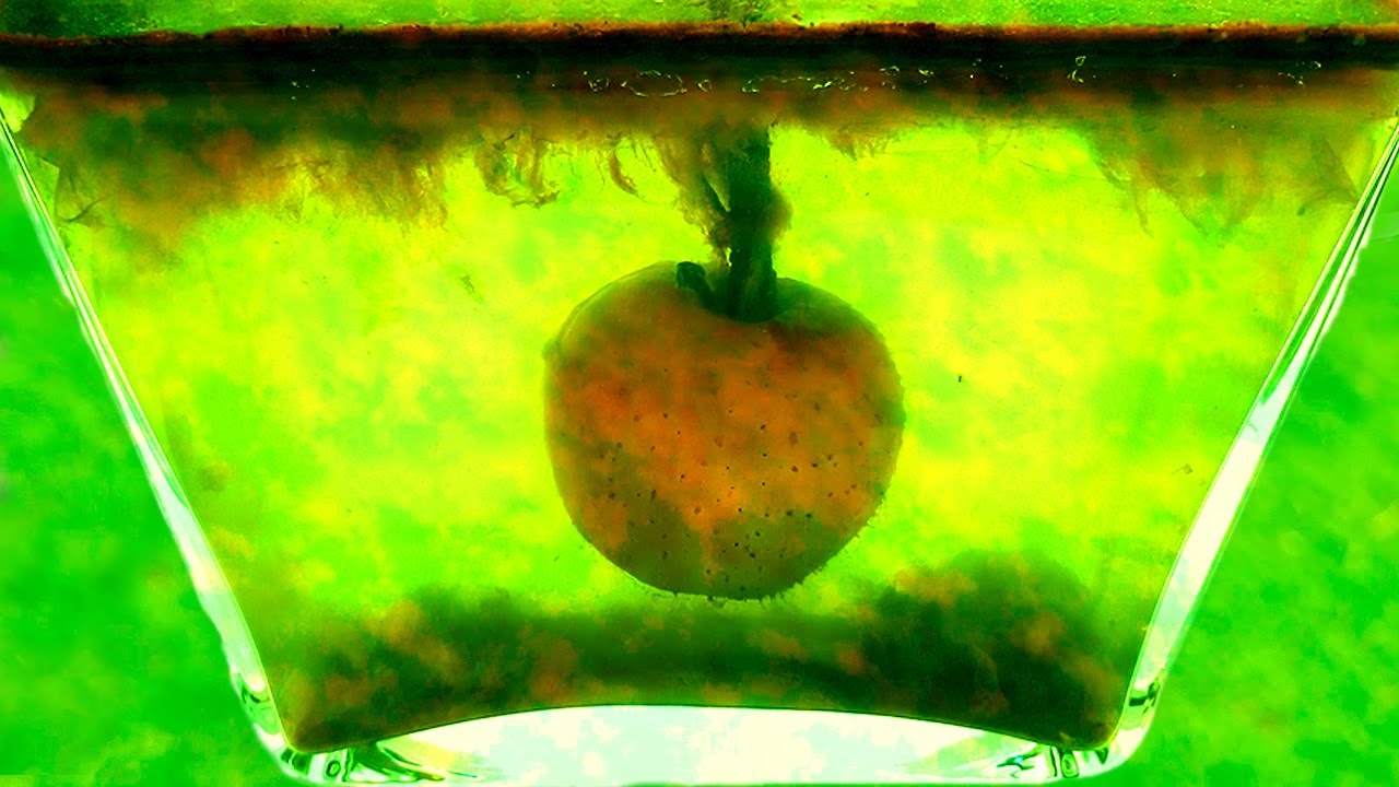 Watched the apple in water video? Then watch this! MICROSCOPE shots ...