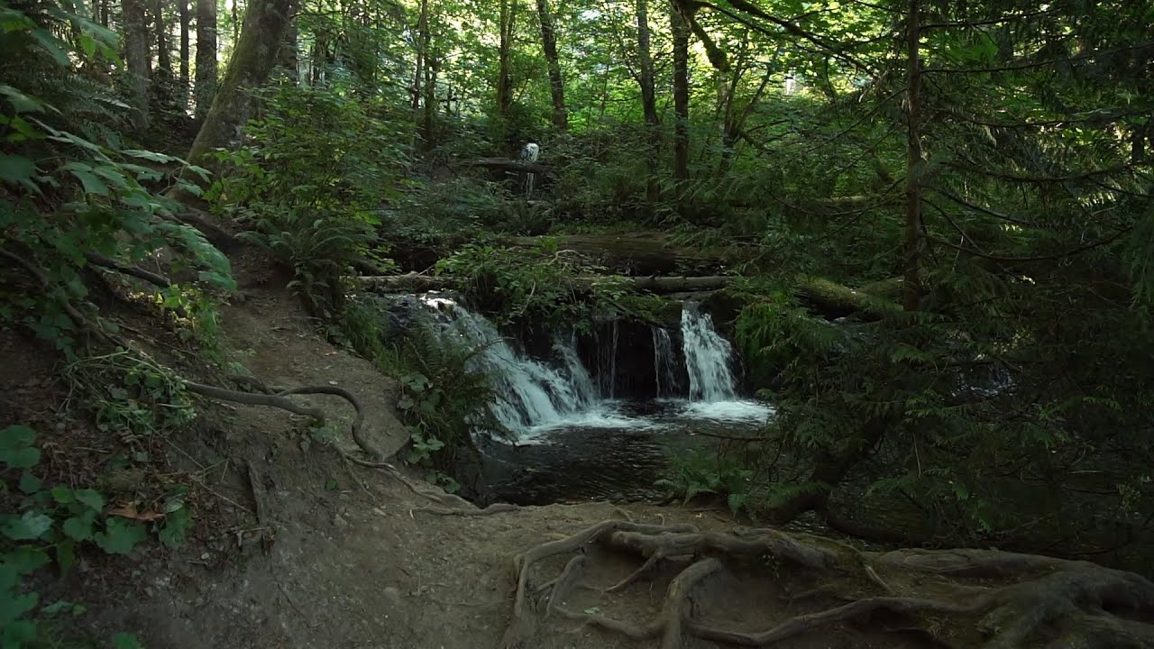 Victor Falls City Park (the trail down was closed) - YouTube