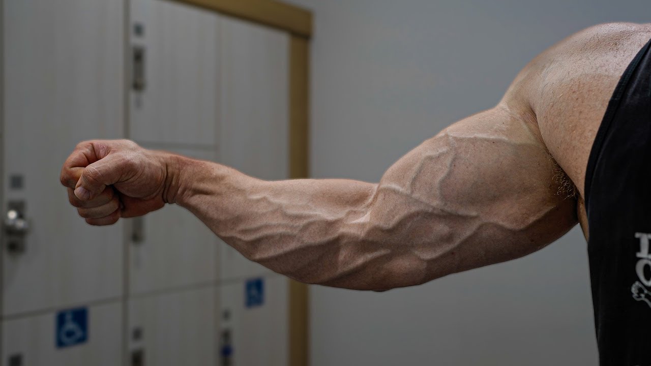 Cut Day 31: Arms - YouTube