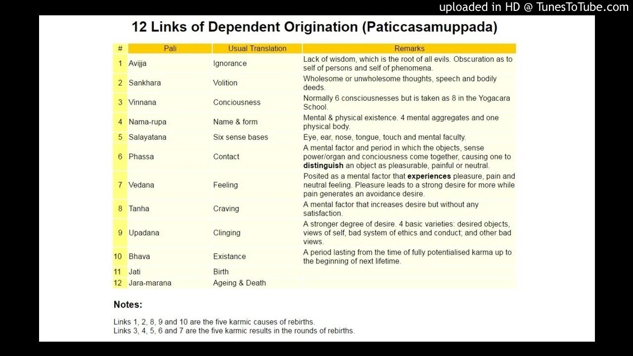 12 Links of Dependent Origination (Paticcasamuppada) - YouTube