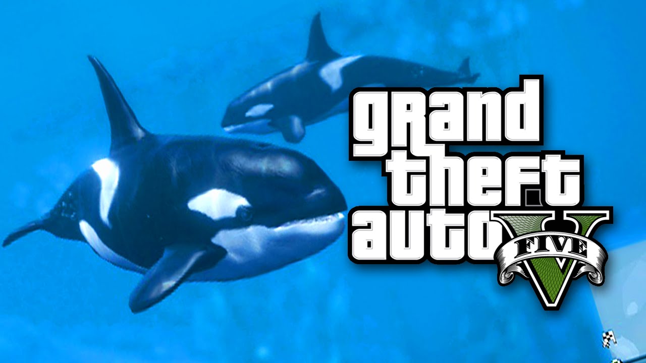KILLER WHALES! - "Next Gen GTA 5 " - YouTube