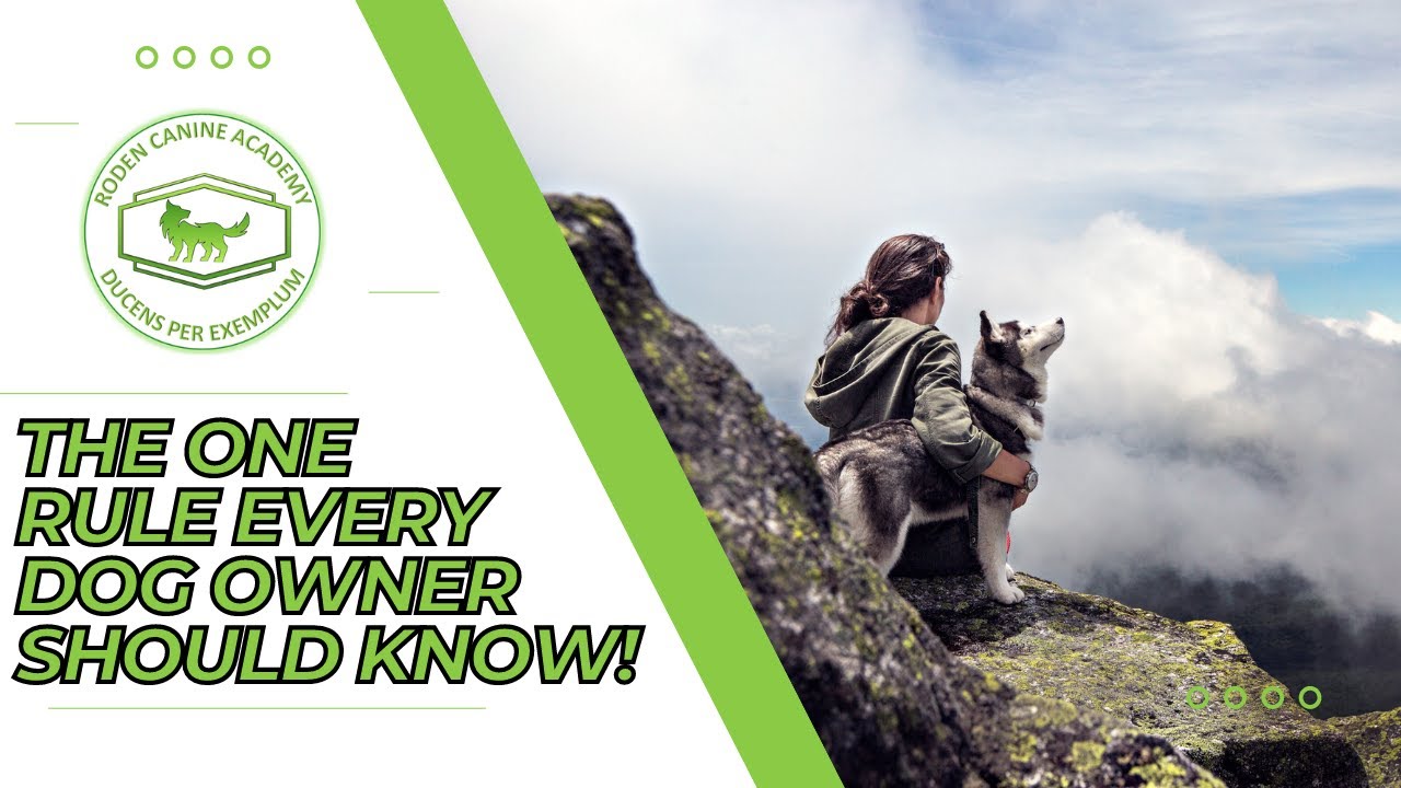 The Power of One: Transforming Your Dog's Life with One Basic Rule ...