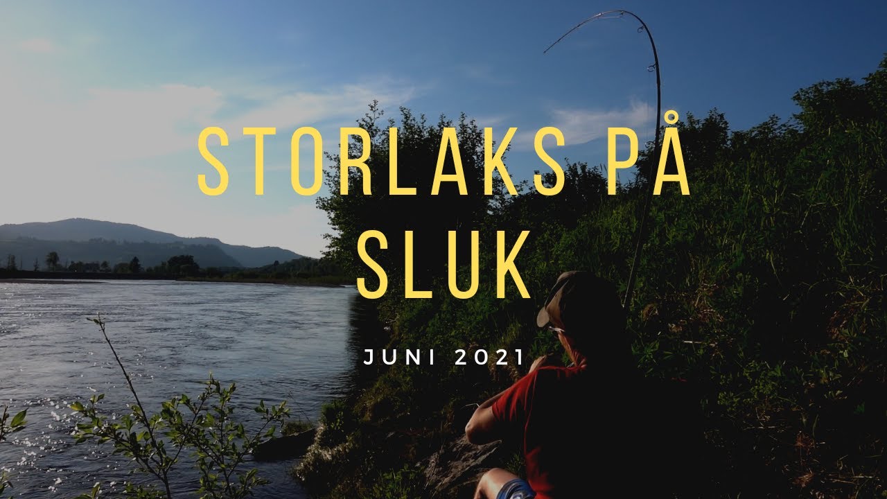 Laksefiske med sluk | Salmon fishing | Laxfiske - YouTube