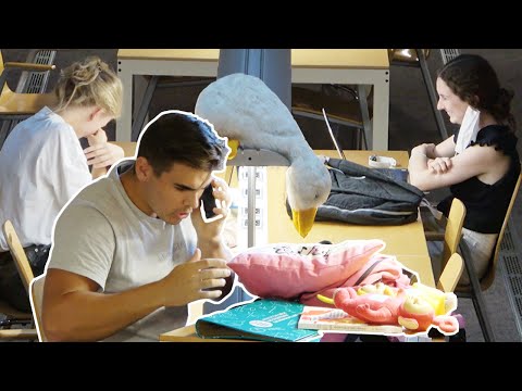 🎵 FUNNY RINGTONES 😁 in THE LIBRARY 4 [Hidden Camera]