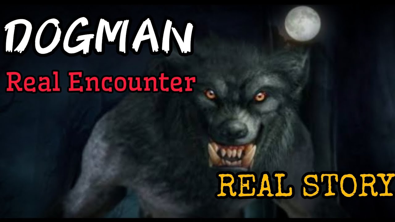 DOGMAN 😨😨 | Real Encounter | REAL STORY | hindi horror story | GHOST ...