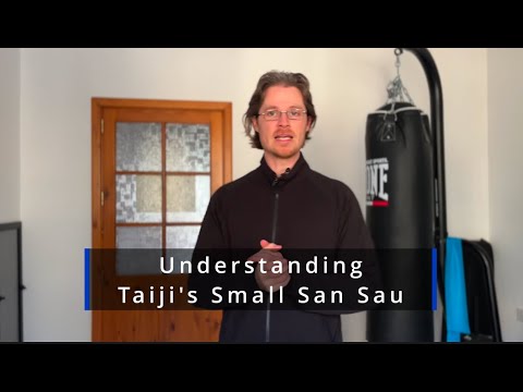 Understanding Taiji's Small San Sau - YouTube