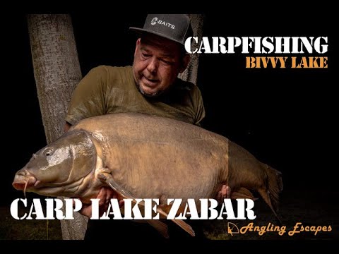 💥💥Movie time!!! 💥💥Carp Lake Zabar! - YouTube