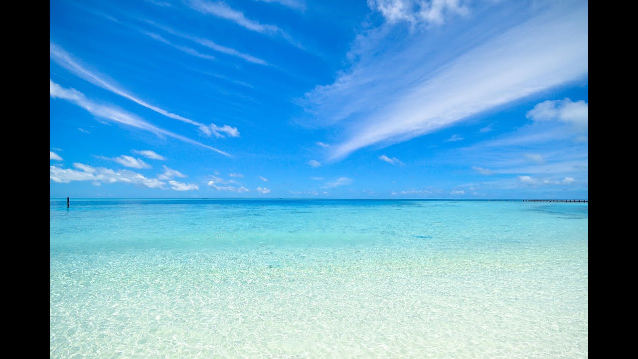 Time To Relaxing and Sleeping - Ocean Sounds to Sleep - YouTube