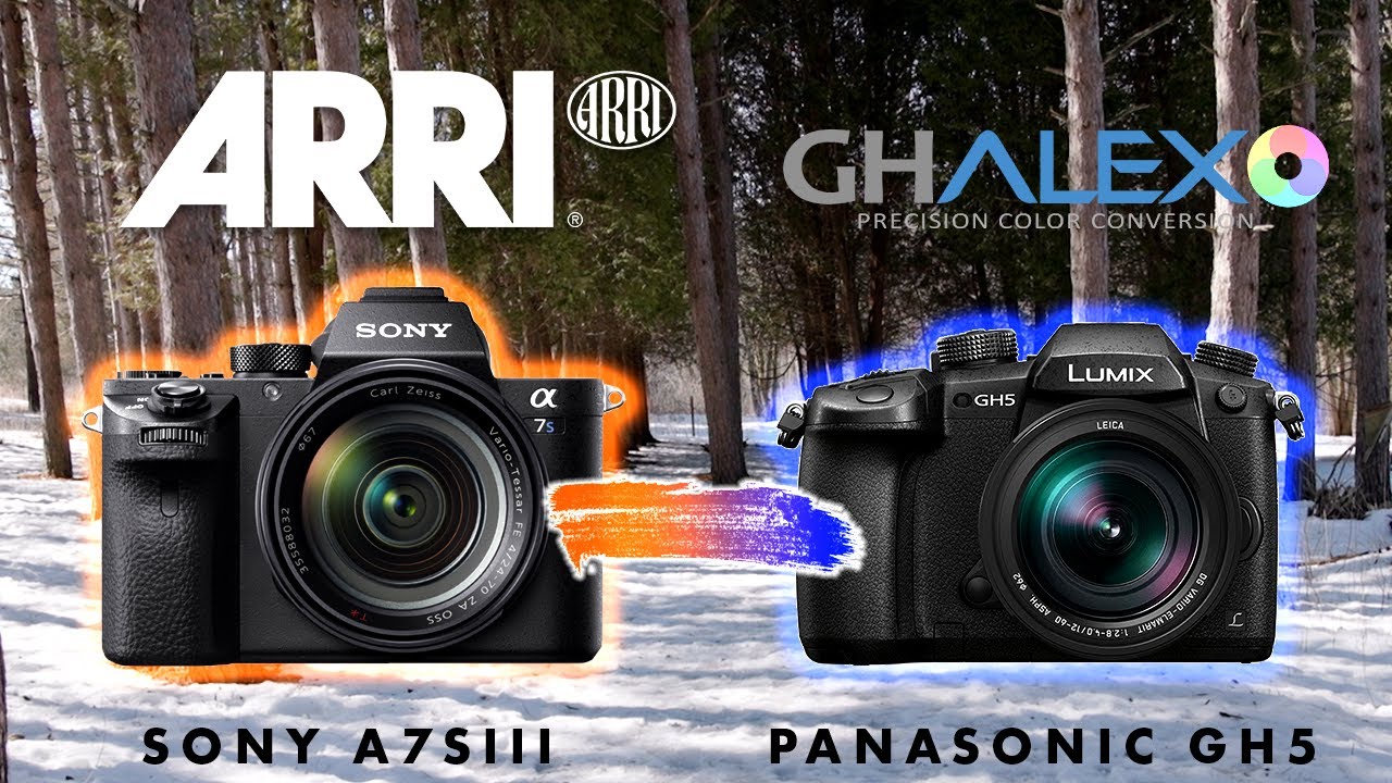 Arri Alexa Colors on Sony A7SIII and Panasonic GH5 | Emotive Color LUTS ...