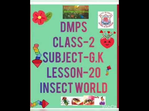 Class 2 || G.K || Lesson- 20 - Insect World - YouTube