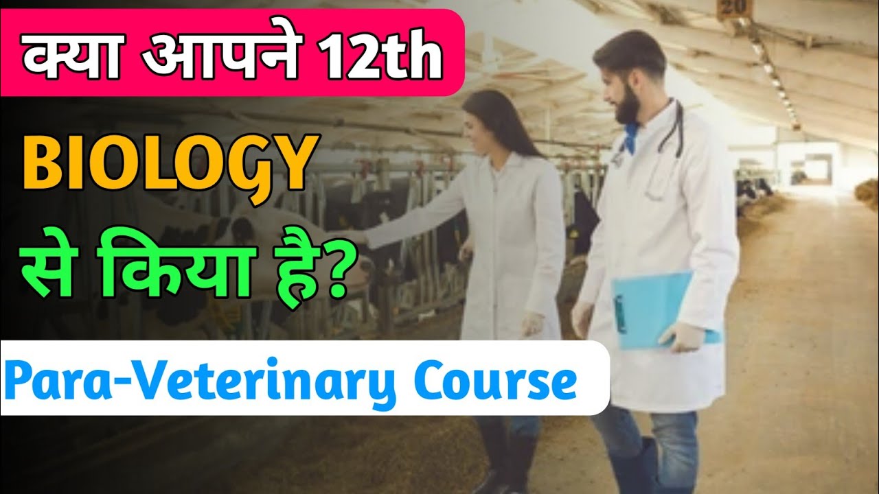 After 12th,Para-Veterinary science courses - YouTube