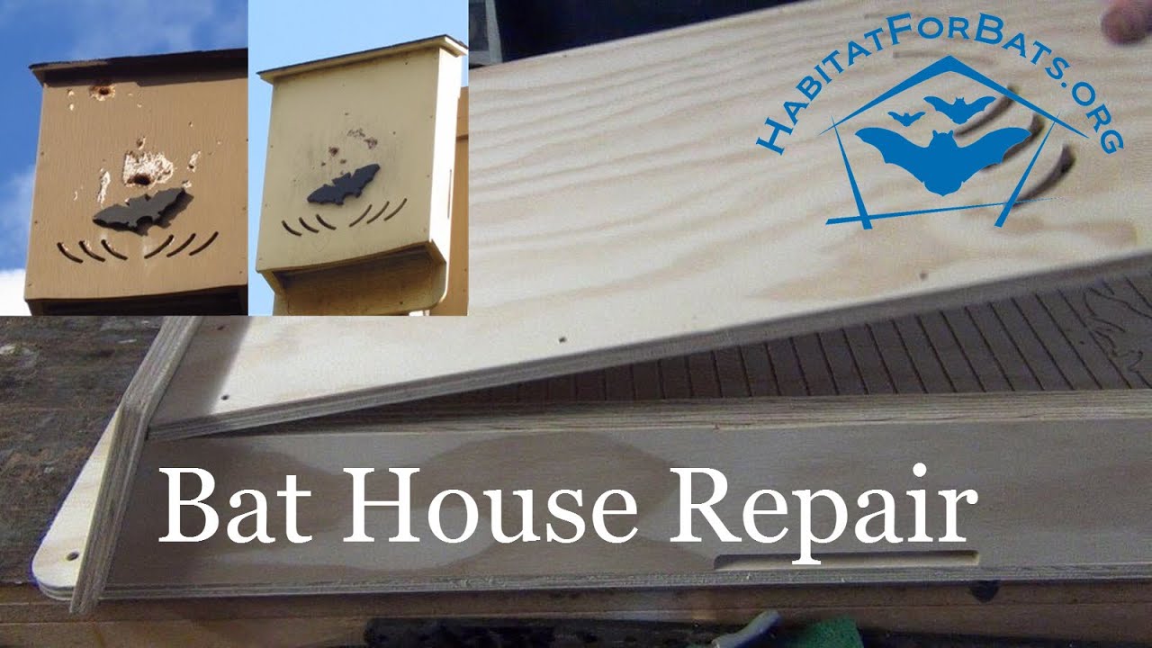 Bat House Repair Guide For Damaged Front - YouTube