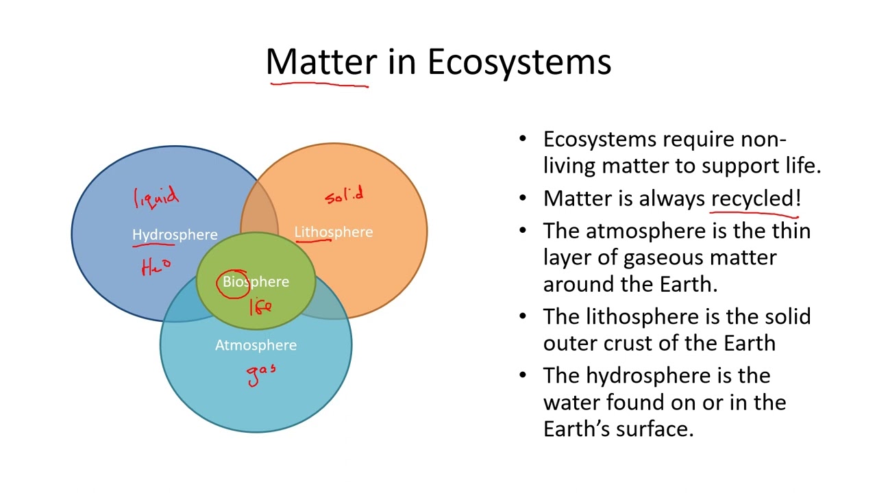 Ecology Lesson 01: Ecosystems - YouTube