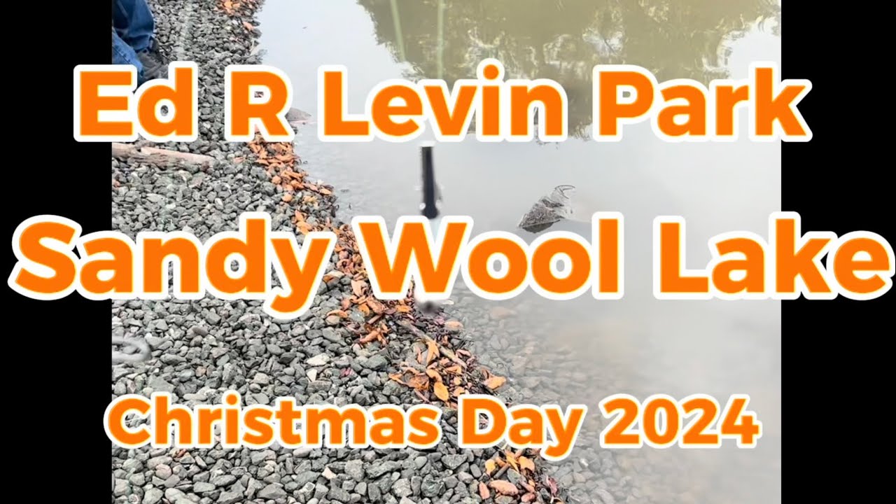 Christmas miracle at Sandy Wool Lake| ( Bay Area Trout Fishing ...