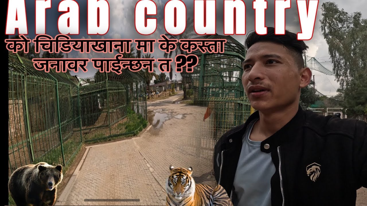 Arab country Iraq Baghdad zoo tour - YouTube
