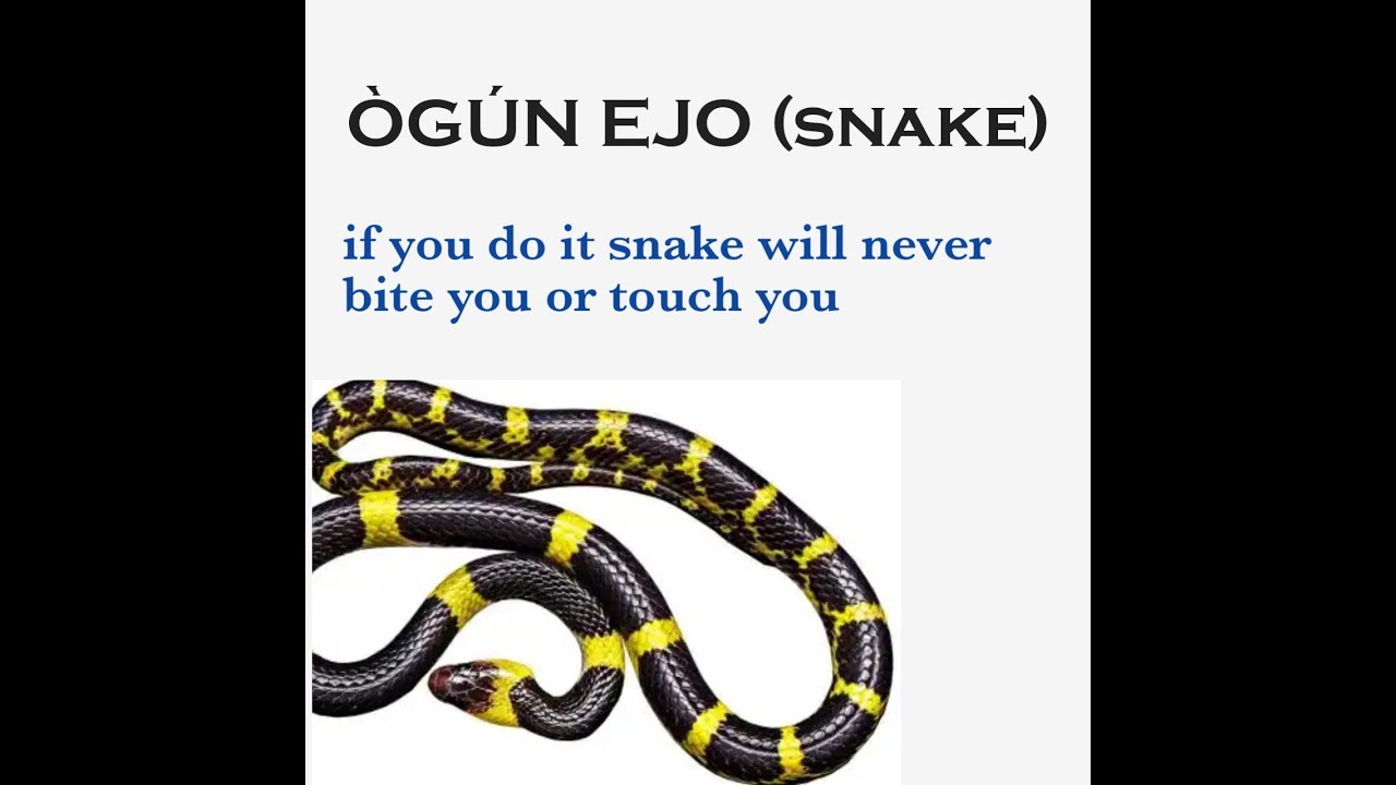 OGUN EJO SNAKE if you do this snake can never bite you #tips #subscribe ...