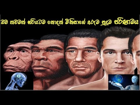 Human Evolution | Manawa parinamaya | wismitha lokaya - YouTube
