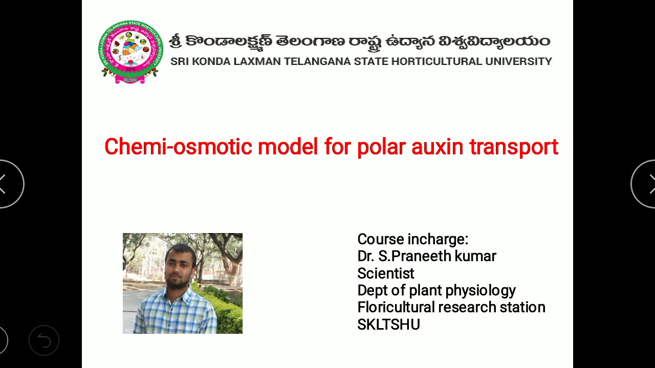 Chemi osmotic model for polar auxin transport Praneeth Kumar Suvarna ...