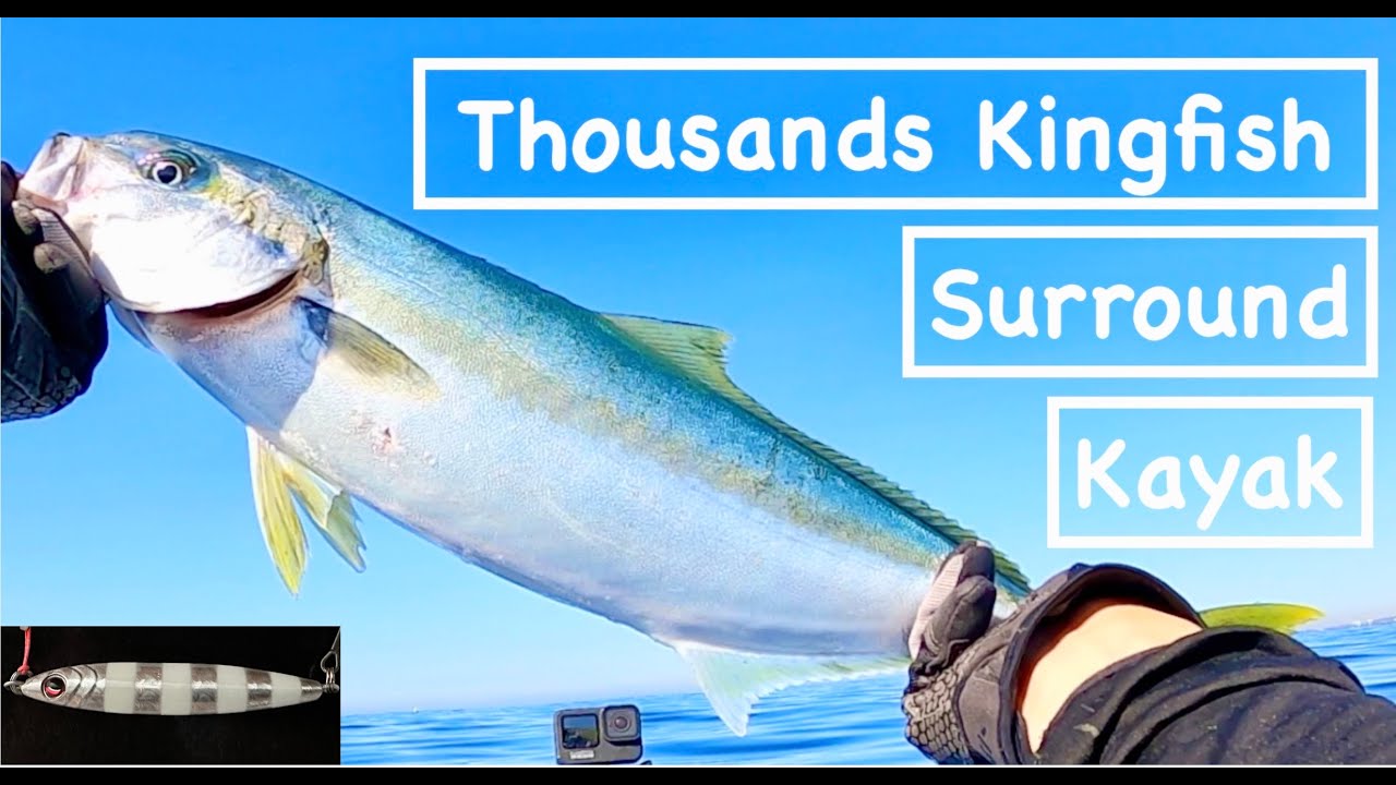 Slow Jigging | Kayak Fishing | Kingfish Videos - YouTube