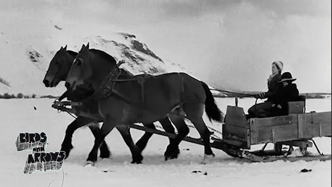 Birds and Arrows - Holiday Forever [Official Video] - YouTube