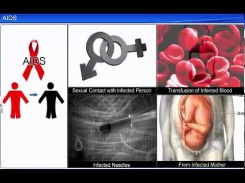 CBSE Class 12 Biology || AIDS - YouTube