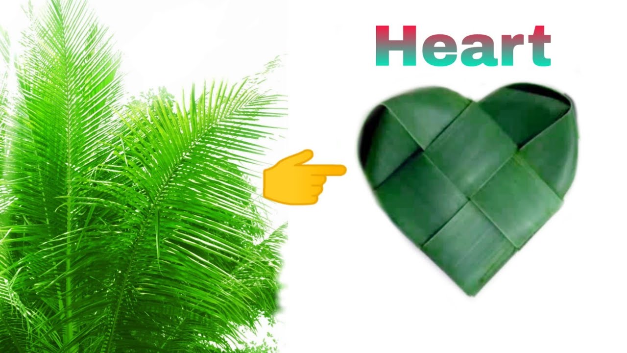 How to make COCONUT PALM LEAF HEART#Simple Art and craft#craft video ...