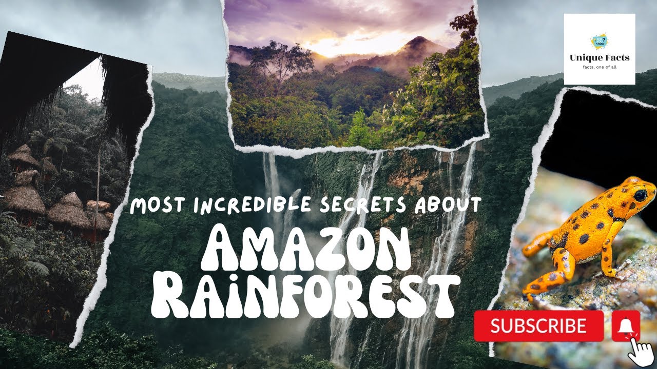 What’s Hidden in Amazon forest behind 2,124,000 Square Miles ...