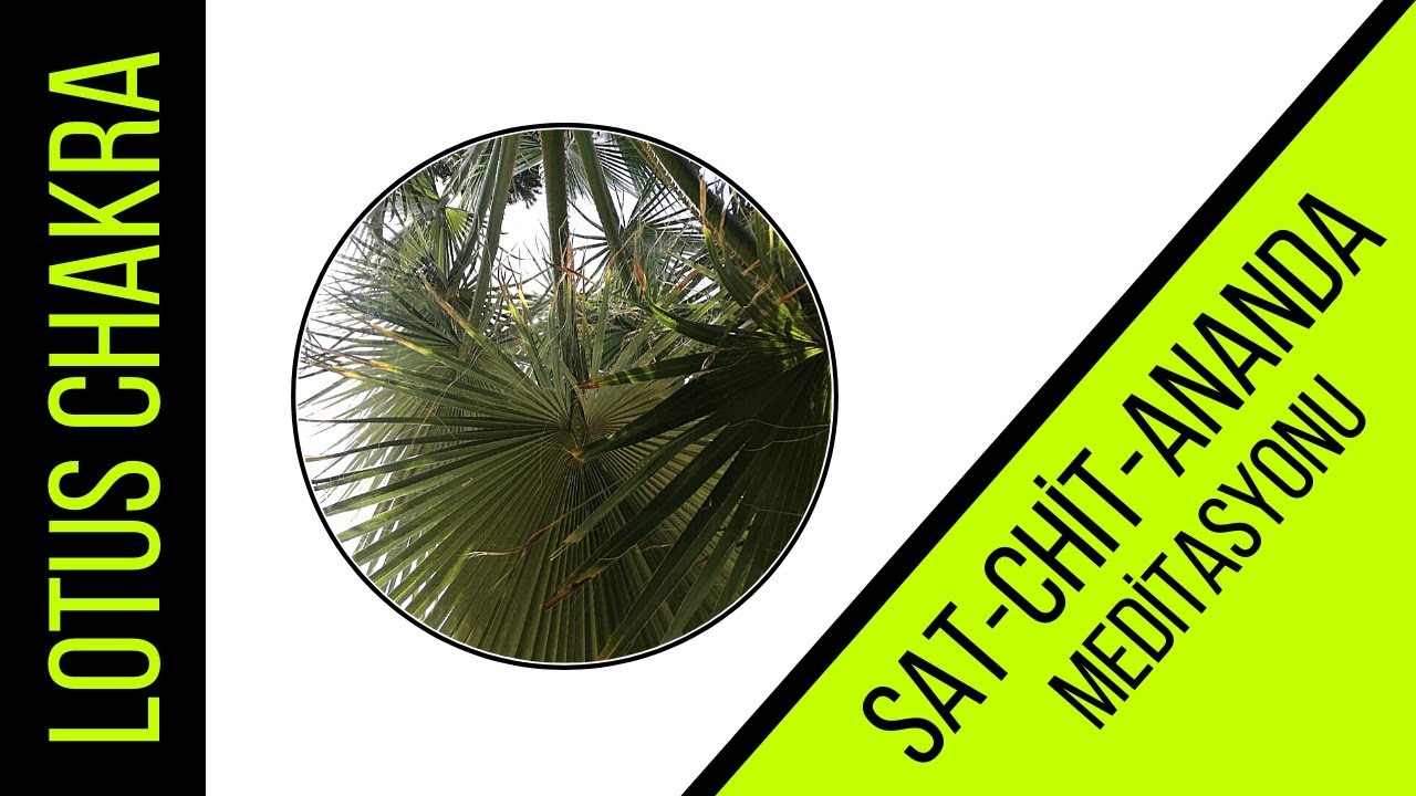 sat-chit-ananda meditasyonu - YouTube
