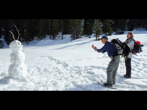 Mit Schneeschuhen von Pany nach St. Antönien (Prättigau / GR) / 22.02.21