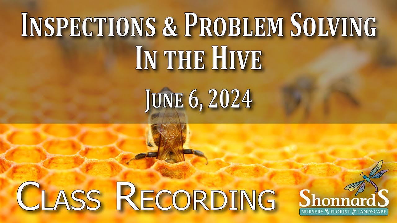 Inspections & Problem Solving in the Hive - Class Recording - YouTube