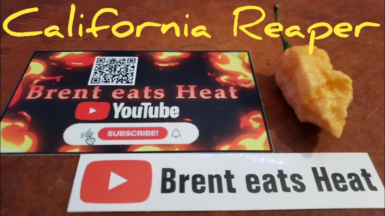 California Reaper pepper review - YouTube