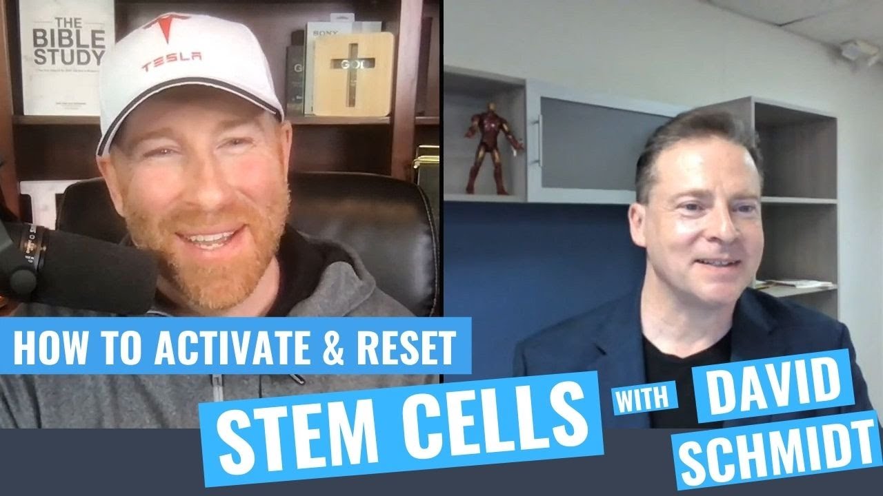 How to Activate & Reset Stem Cells - Interview with David Schmidt, CEO ...