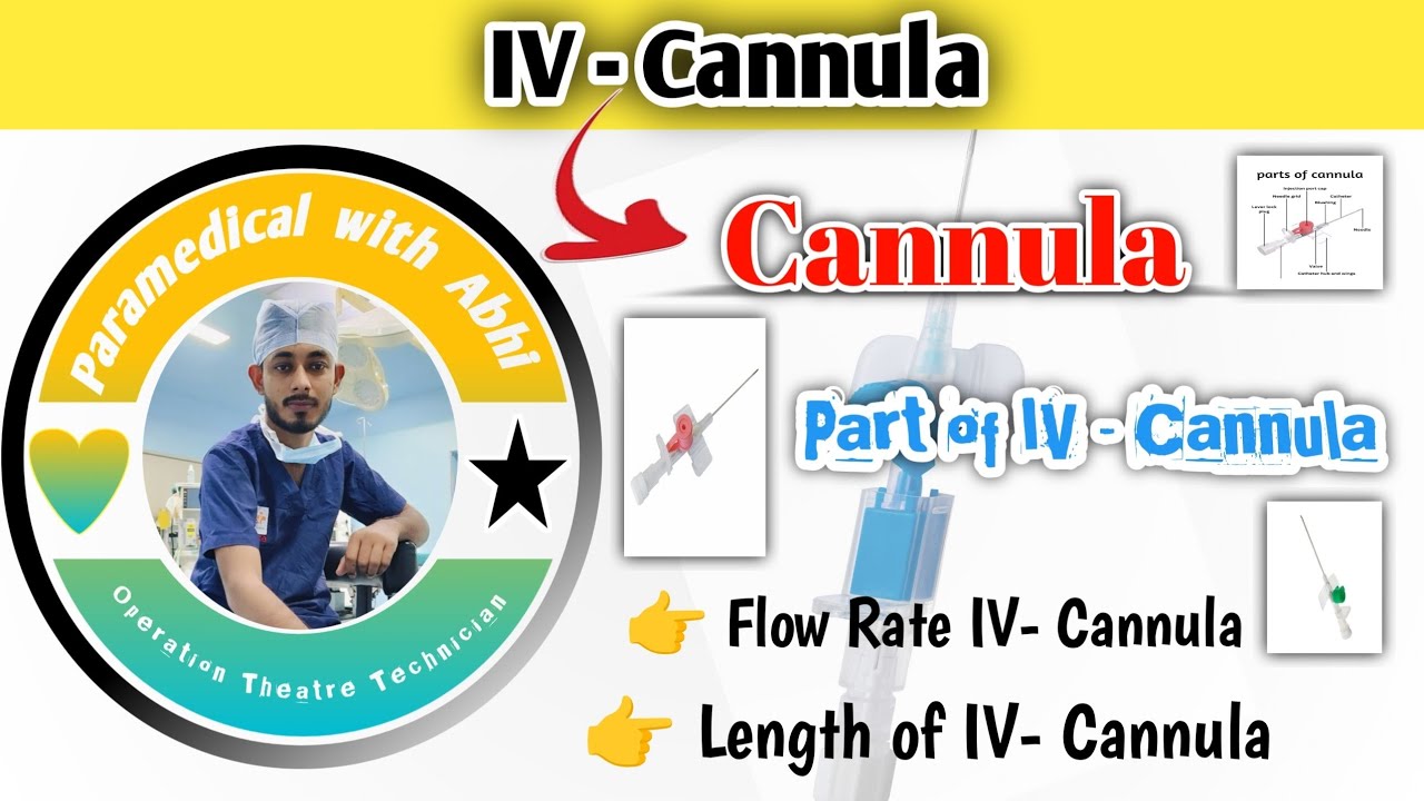 Part of IV - Cannula/length of IV-Cannula/IV- Cannula Colour and Size ...