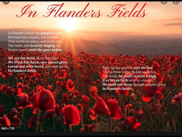 In Flanders Fields Quote Seymour & Lerhn On X: "To Commemorate