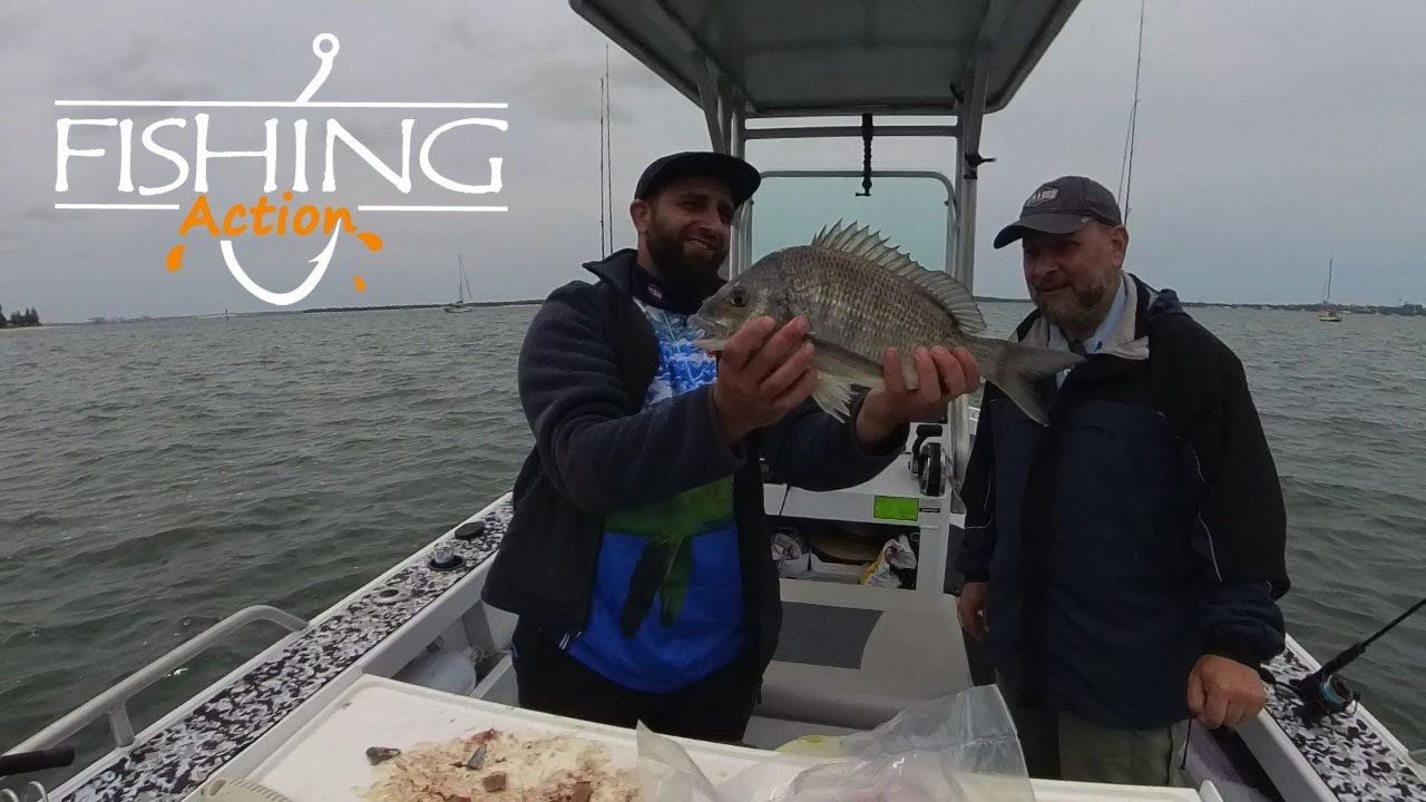 Snapper - Bream - Flathead - Whiting - Tailor | Fishing Botany Bay ...