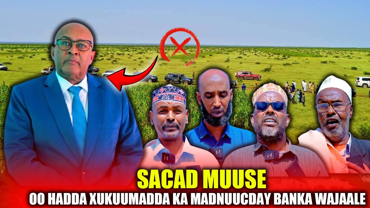 Beesha Sacad Muuse oo Hadda Xukuumadda ka Madnuucday mashruucii banka ...