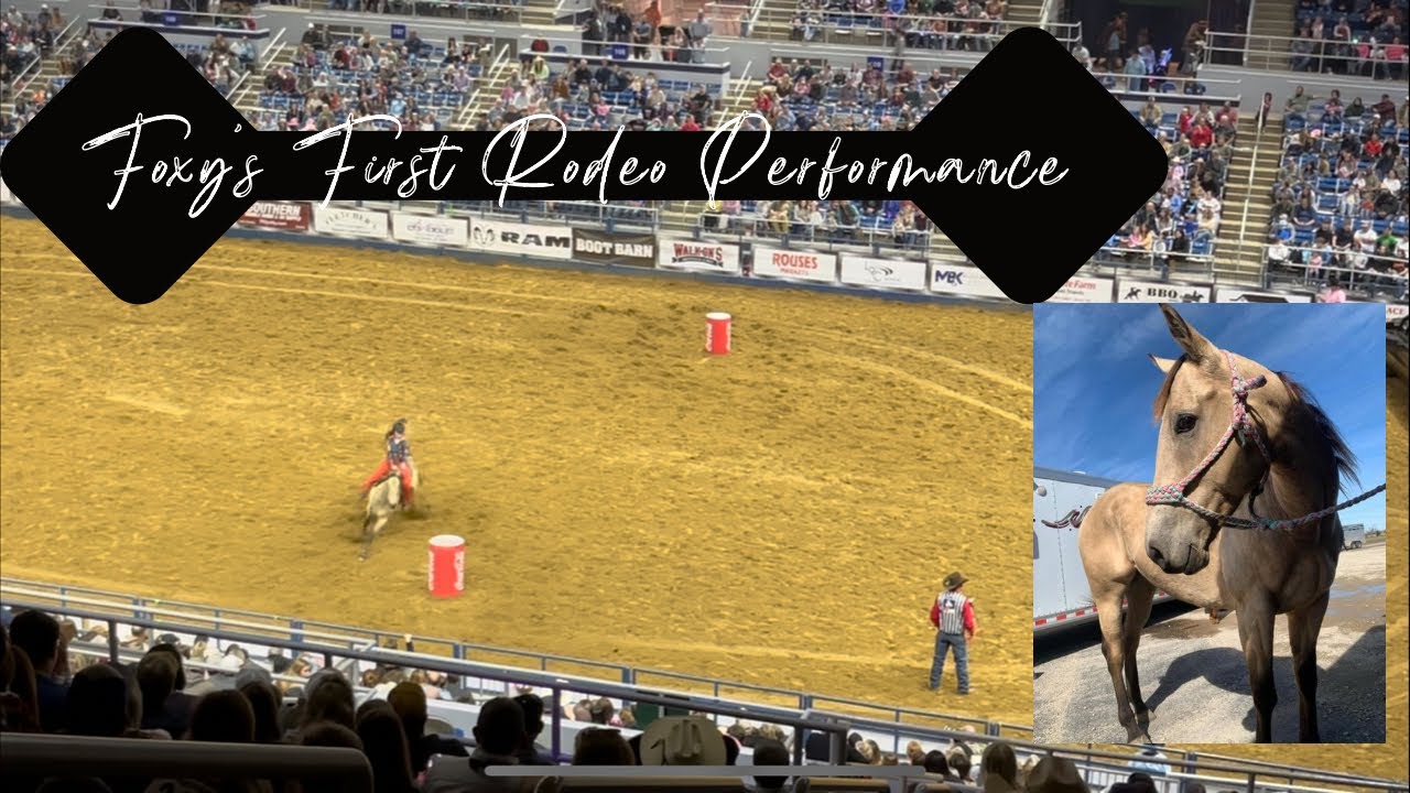 Foxy’s First Rodeo Performance | Lake Charles, LA WPRA - YouTube