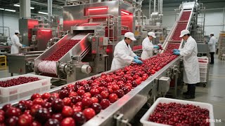 The nutritional value of cranberries is beyond comparison with money