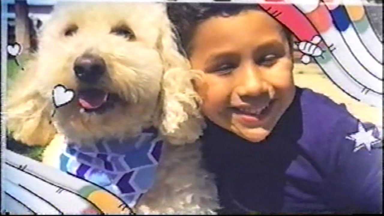 Nickelodeon Summer 2020 Bumpers Compilation v1 - YouTube