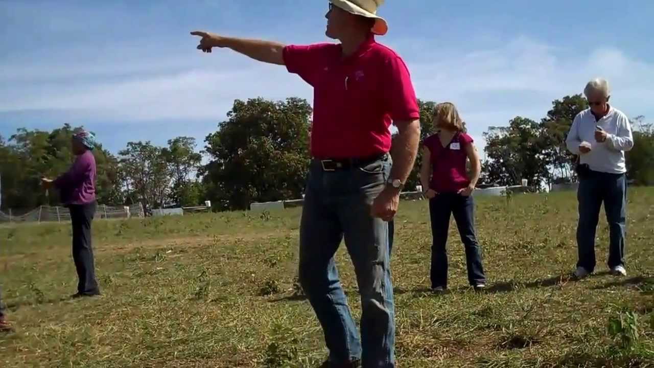 Polyface Farm - Pastured Poultry - Part 2 of 4 - YouTube