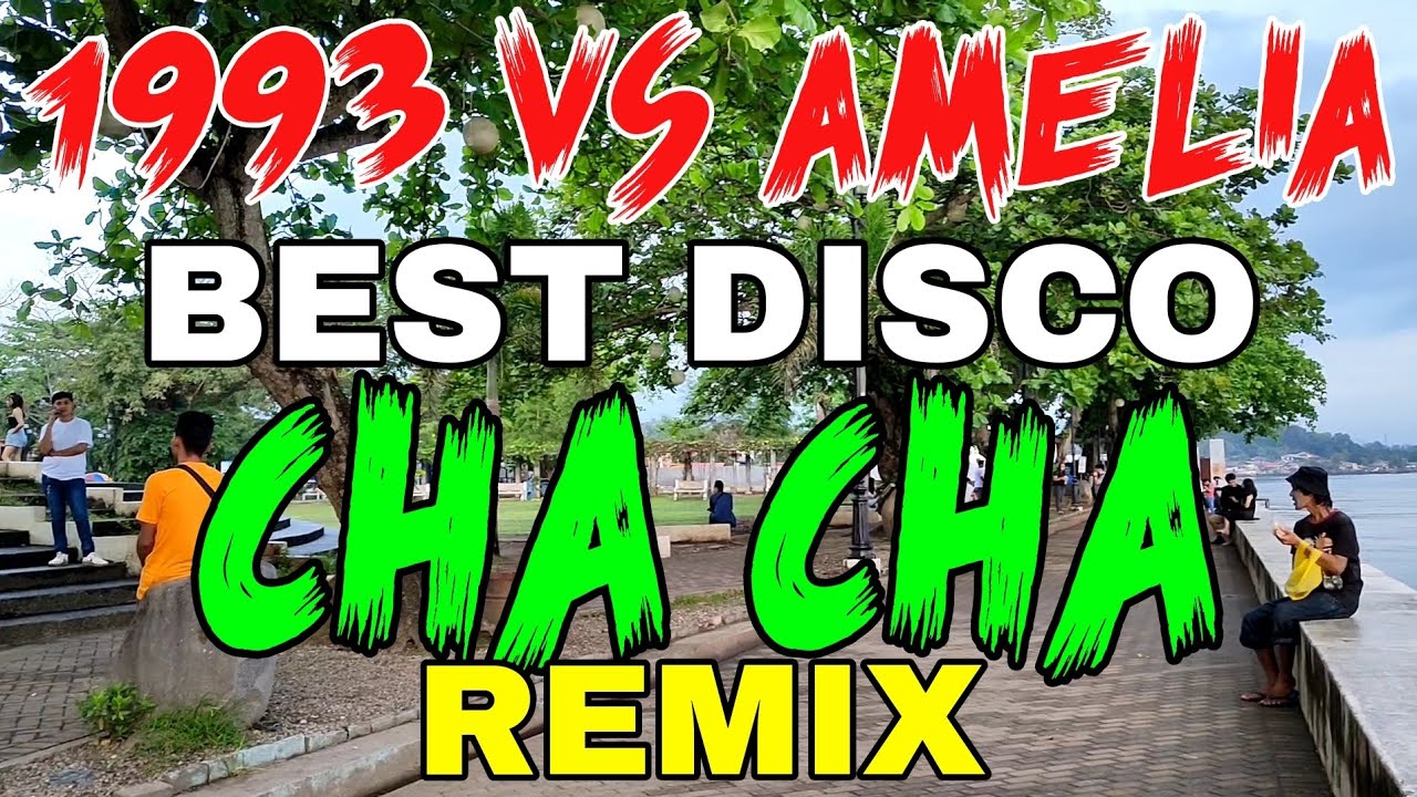1993 VS AMELIA BEST DISCO CHA CHA REMIX - YouTube
