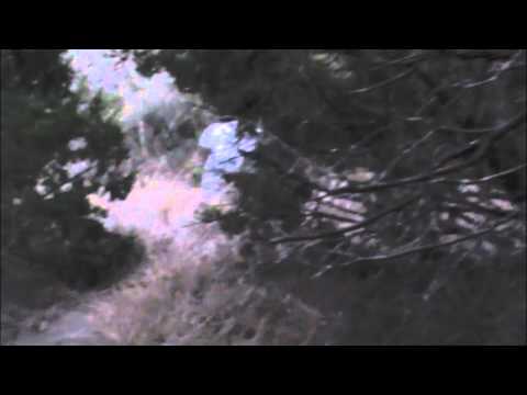 Jesus sightings - YouTube