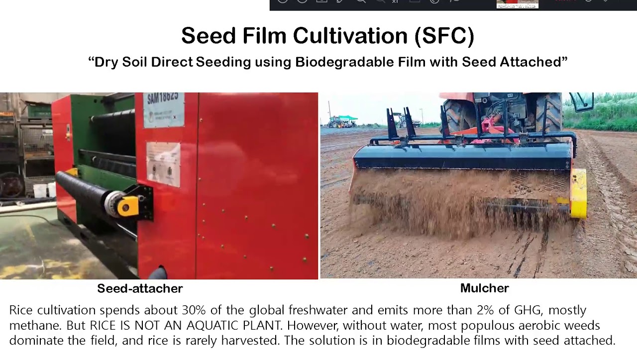 Seed Film Cultivation (SFC) - YouTube