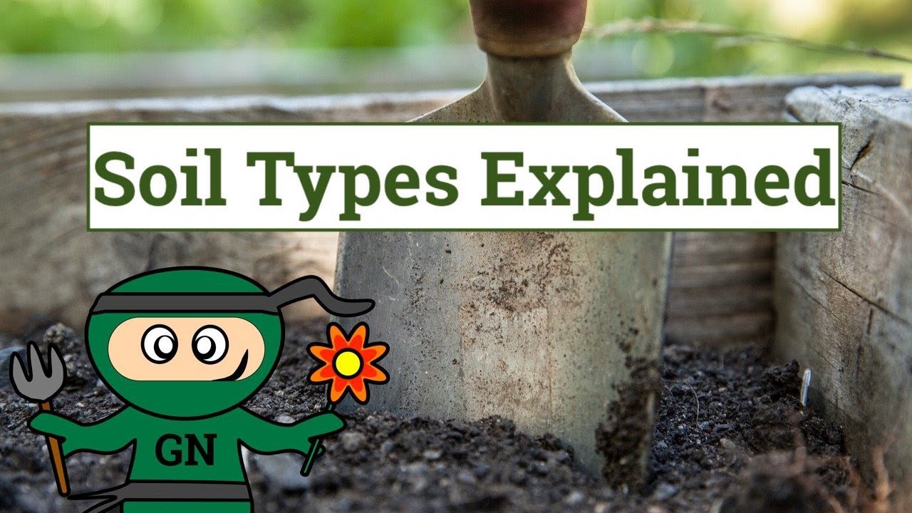 Soil Types Explained: What soil do I have & how to find out - YouTube