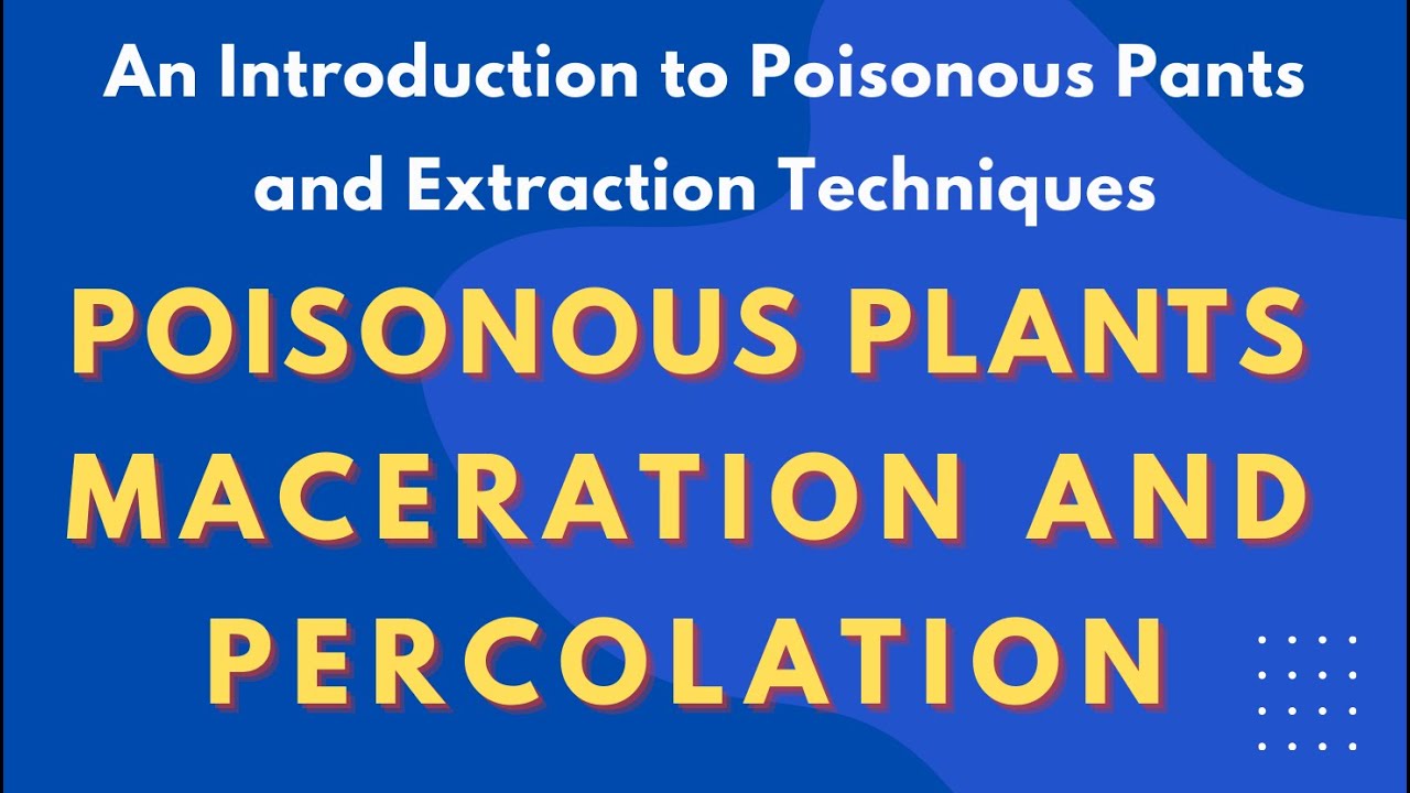 Maceration, Percolation & Toxic Plants | Herbal Extraction and Poison Guide - YouTube